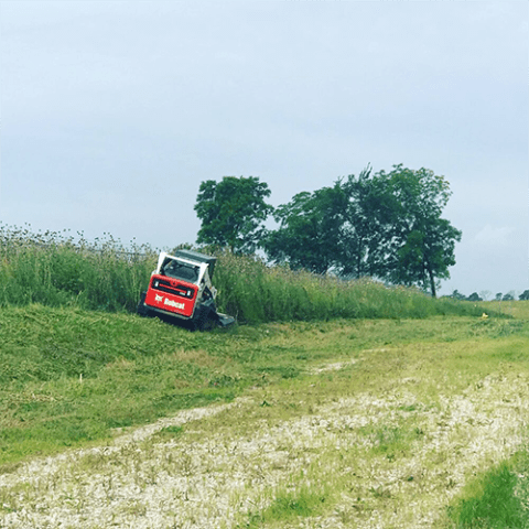 Land Management Resources | Iowa Vegetation Management Services